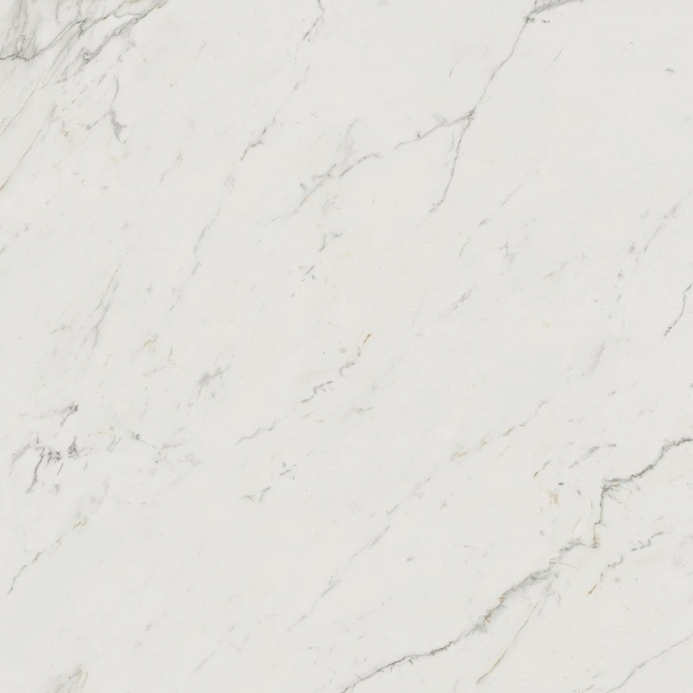 Rossetto Tiles | Marvel Calacatta Extra